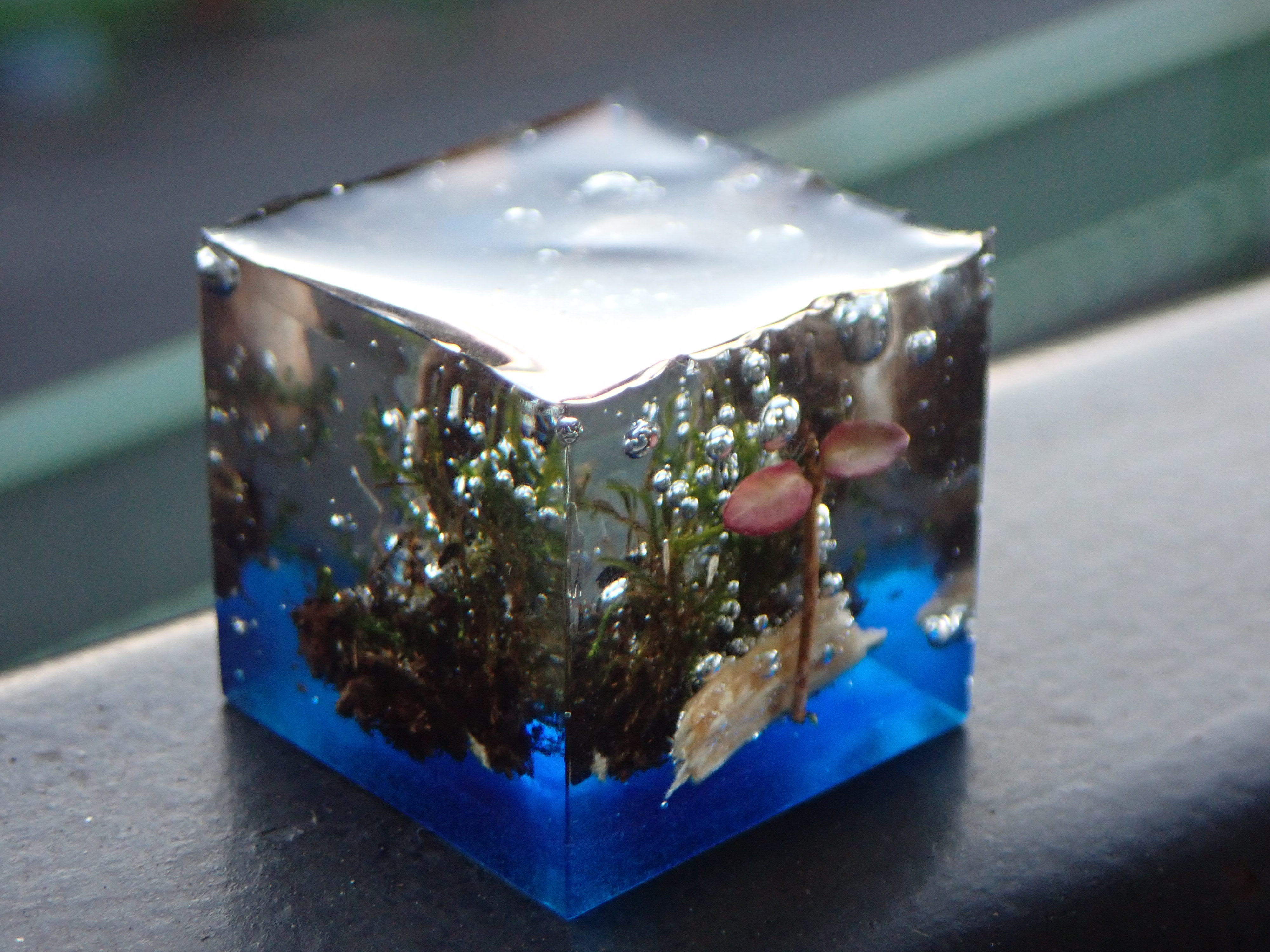 七沢自然ふれあいセンター